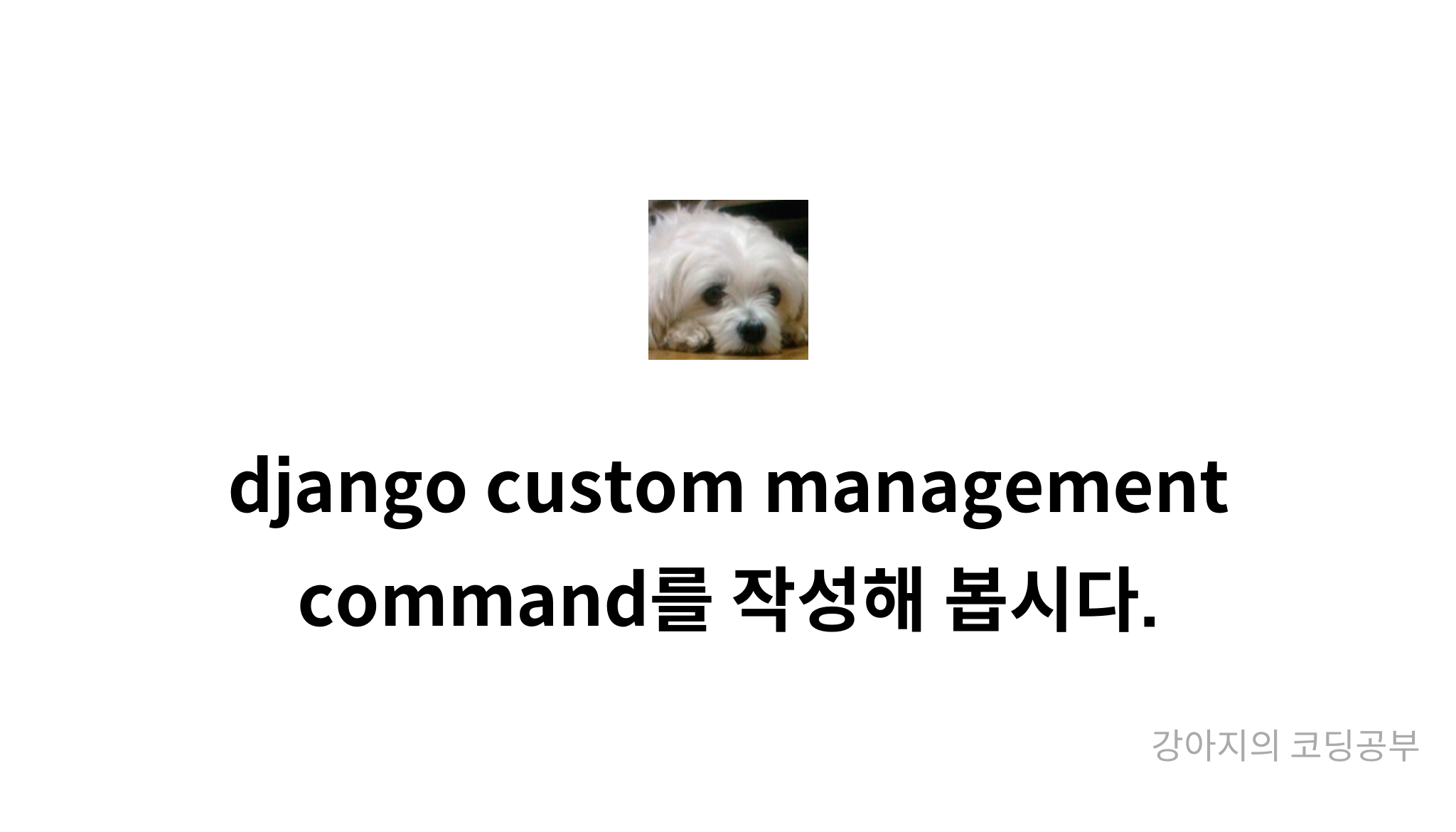 Django Custom Management Command를 작성해 봅시다 Mysetting